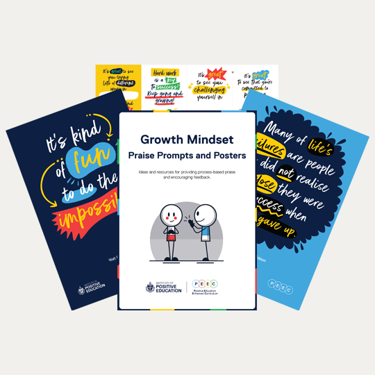 Growth Mindset Praise Prompts and Posters (digital download ...
